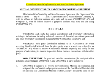 USE A NON-DISCLOSURE AGREEMENT TEMPLATE